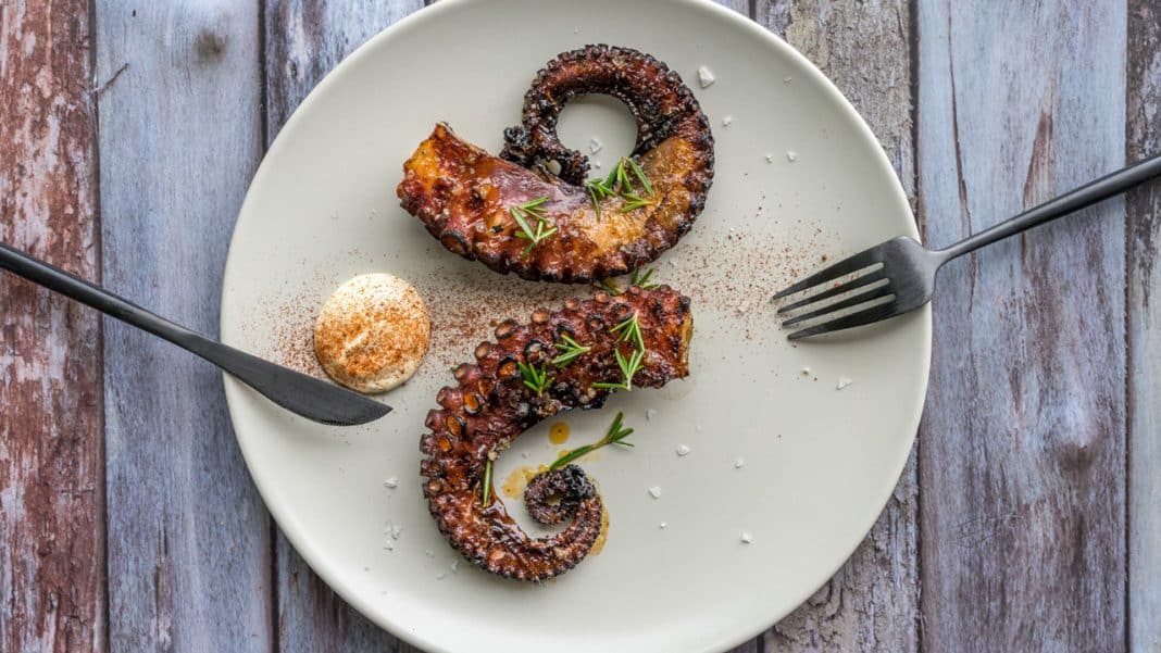 Temps de cuisson du poulpe : Les secrets pour le rendre tendre